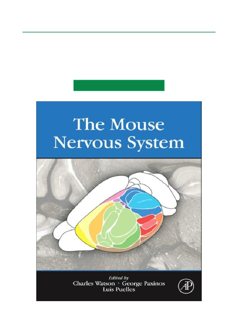 The Mouse Nervous System Overview | PDF | Books | Neuroscience