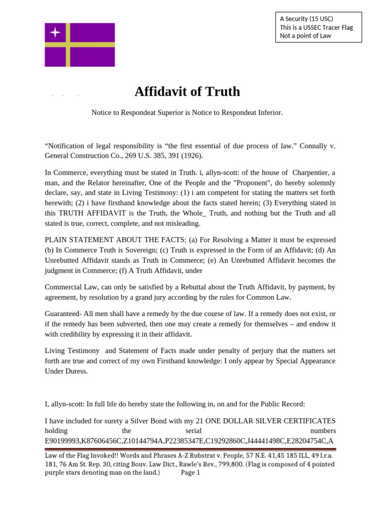 Allyn affidavit (1) | PDF | Affidavit | Fourteenth Amendment To The ...