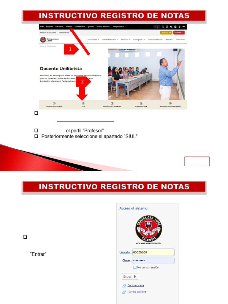 Instructivo para Registro de Notas | PDF | Informática | Software