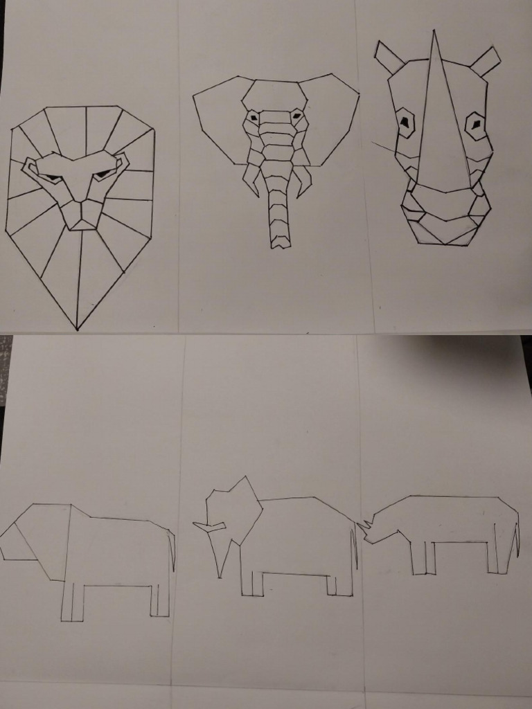 Animal Simplification | PDF