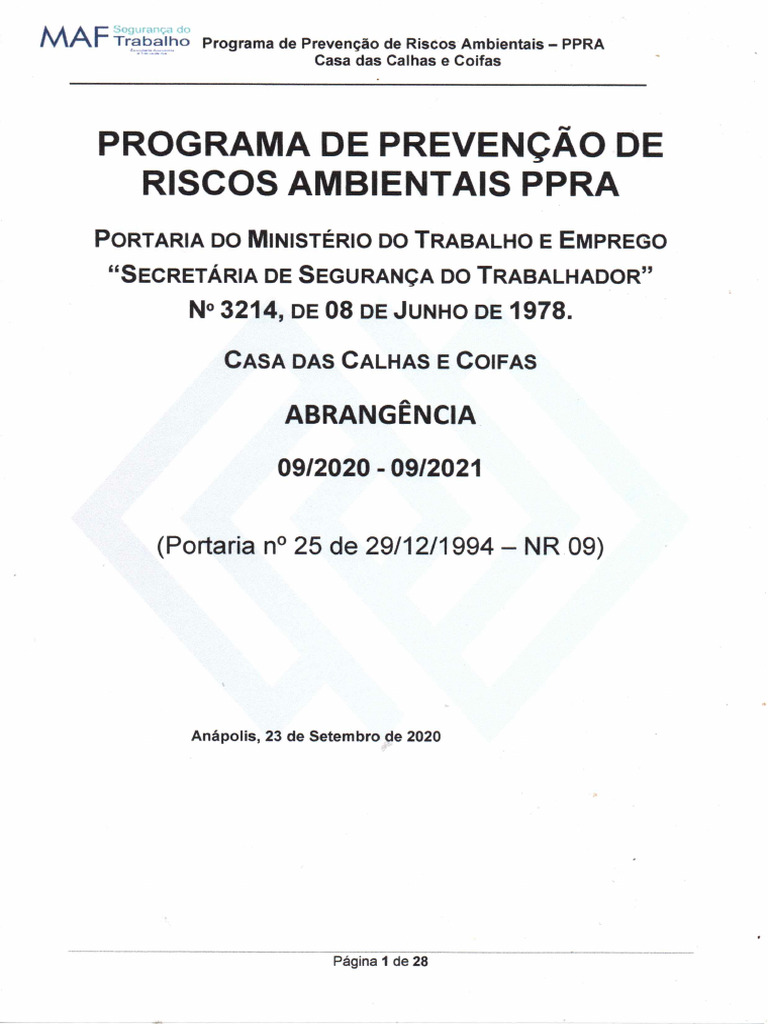 paginas ppra | PDF