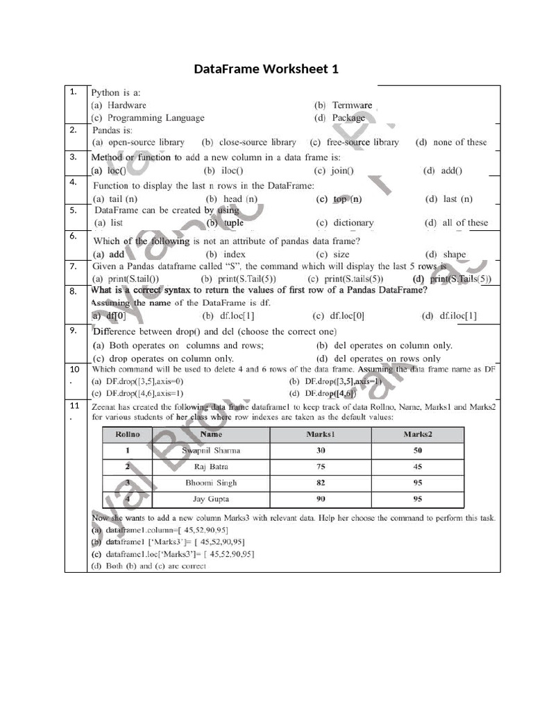 DataFrame Worksheet 1 | PDF