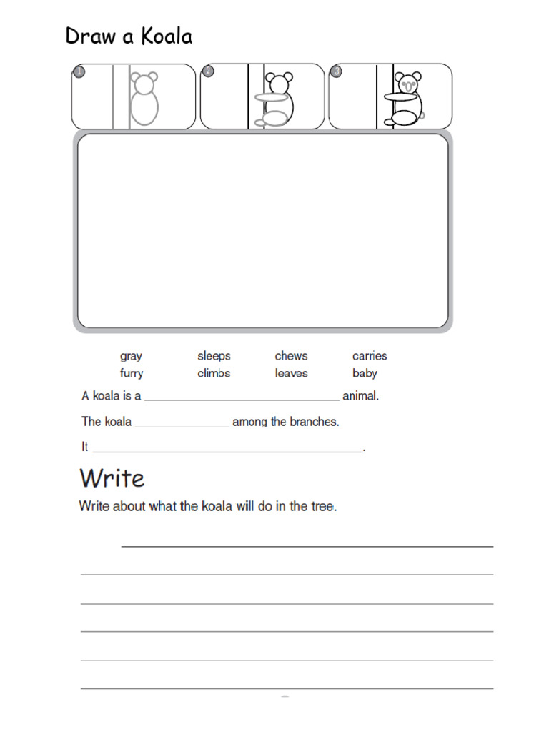 Draw and Write About Koala | PDF