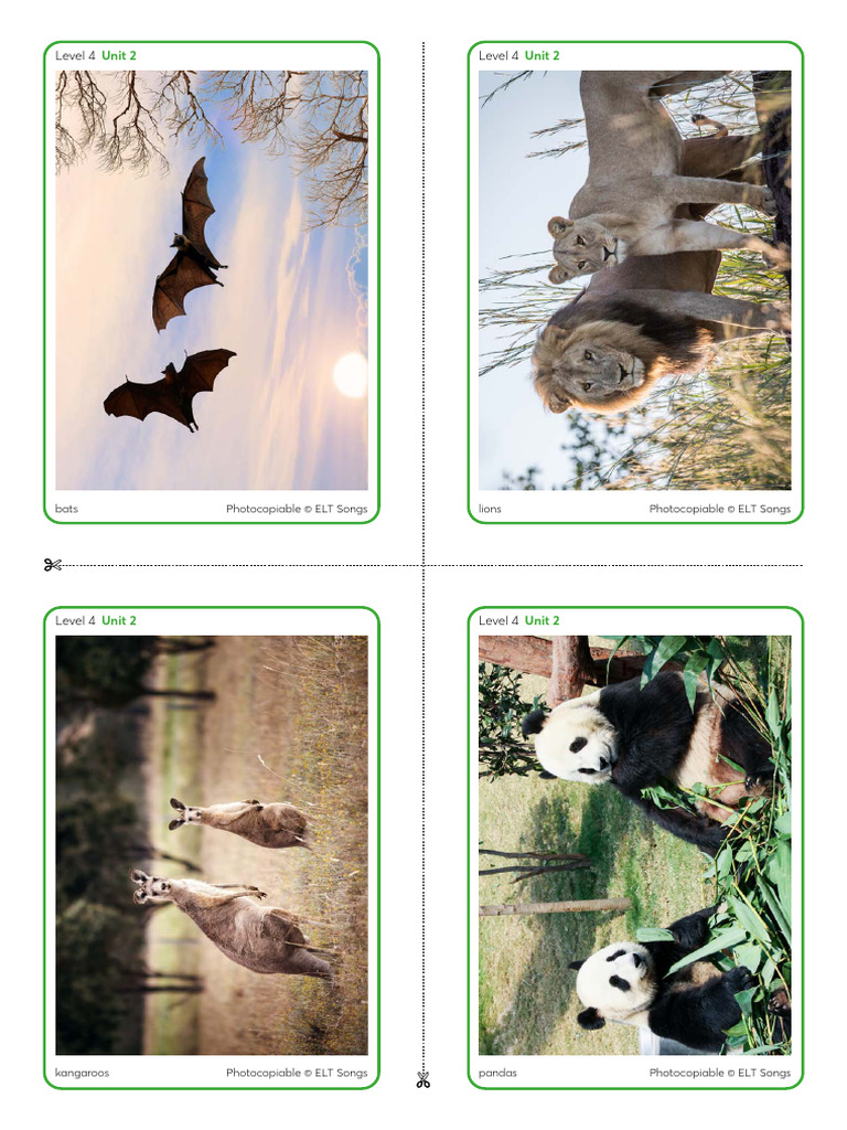 Level 4 - Unit 2 - Flashcards | PDF