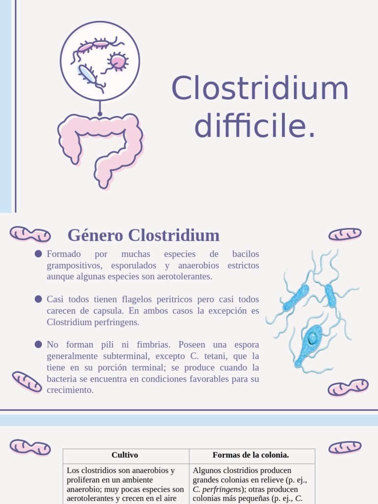 Clostridium Difficile | PDF | Diarrea | Sistema inmune