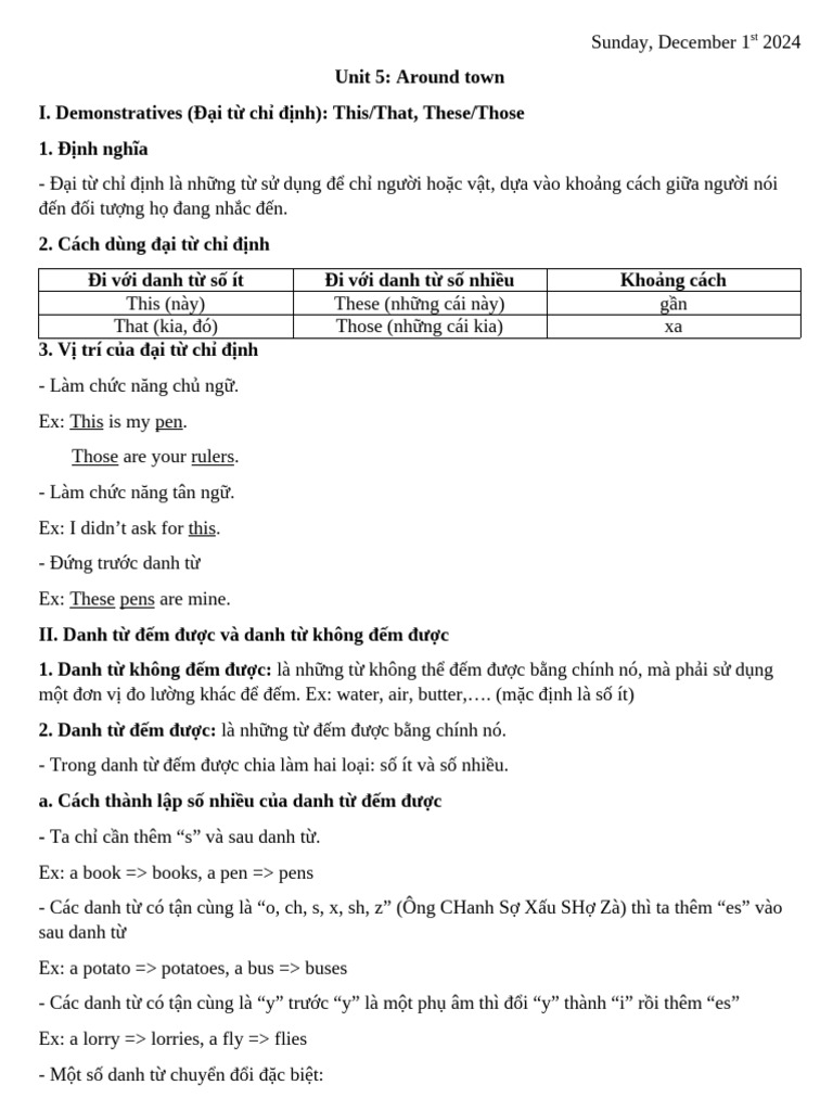 Unit 5 Grammar | PDF