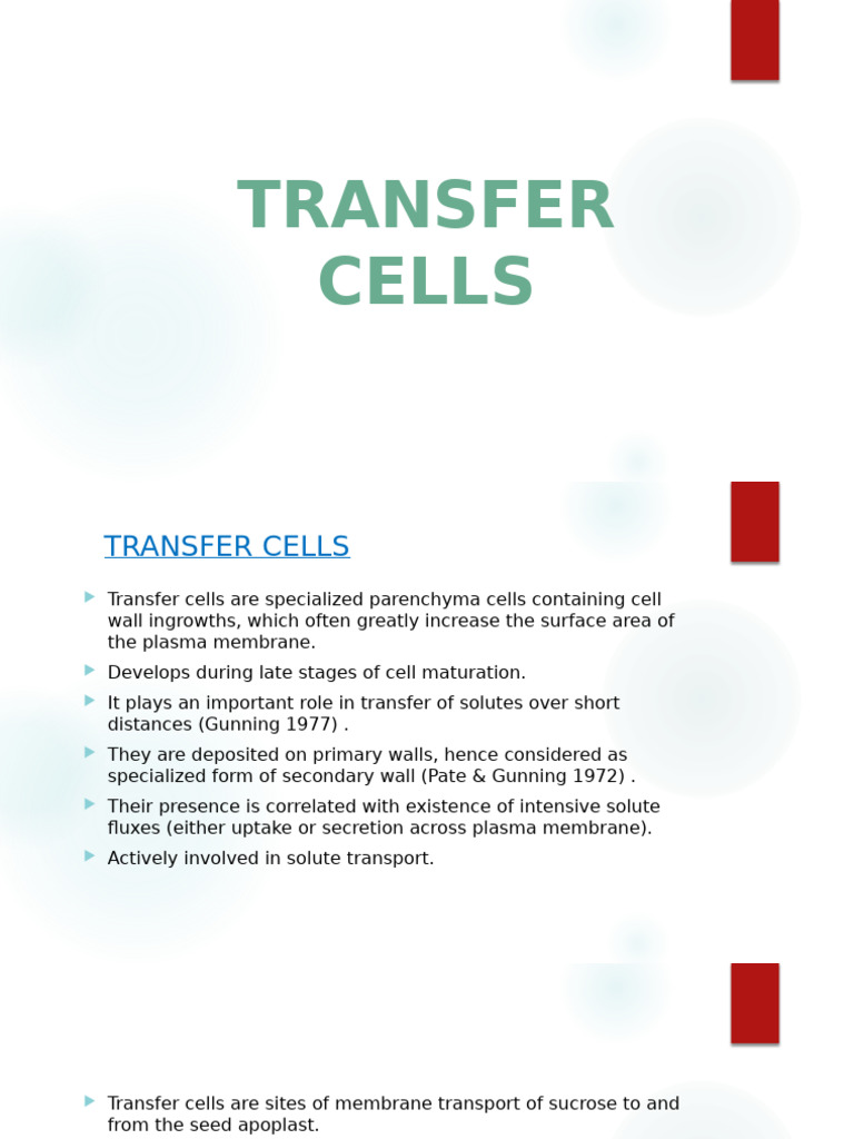 Transfer Cells and Wall Ingrowths in Plants | PDF