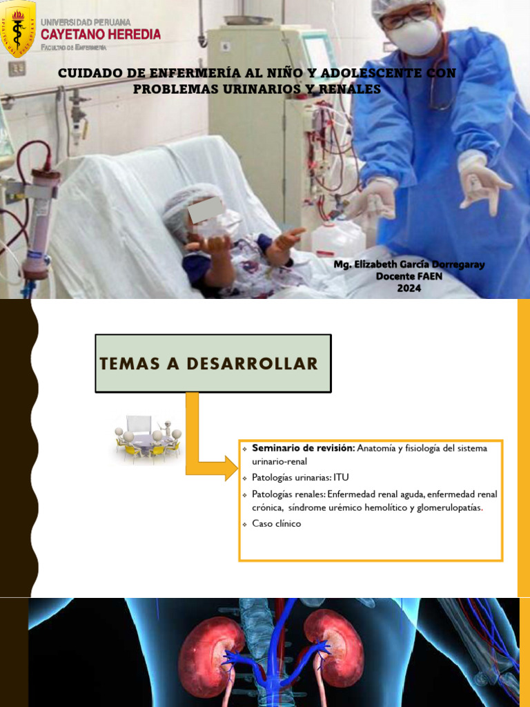 Cuidado de Enfermería en Problemas Renales | PDF | Riñón | Diarrea