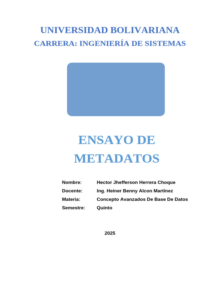 Ensayo de Metadatos | PDF | Metadatos | Datos