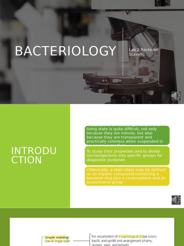 Bacteriology Lab 2 | PDF
