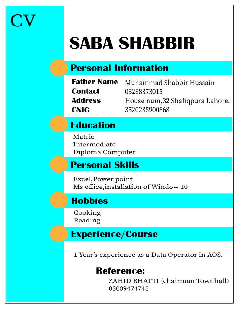 SABA CV | PDF