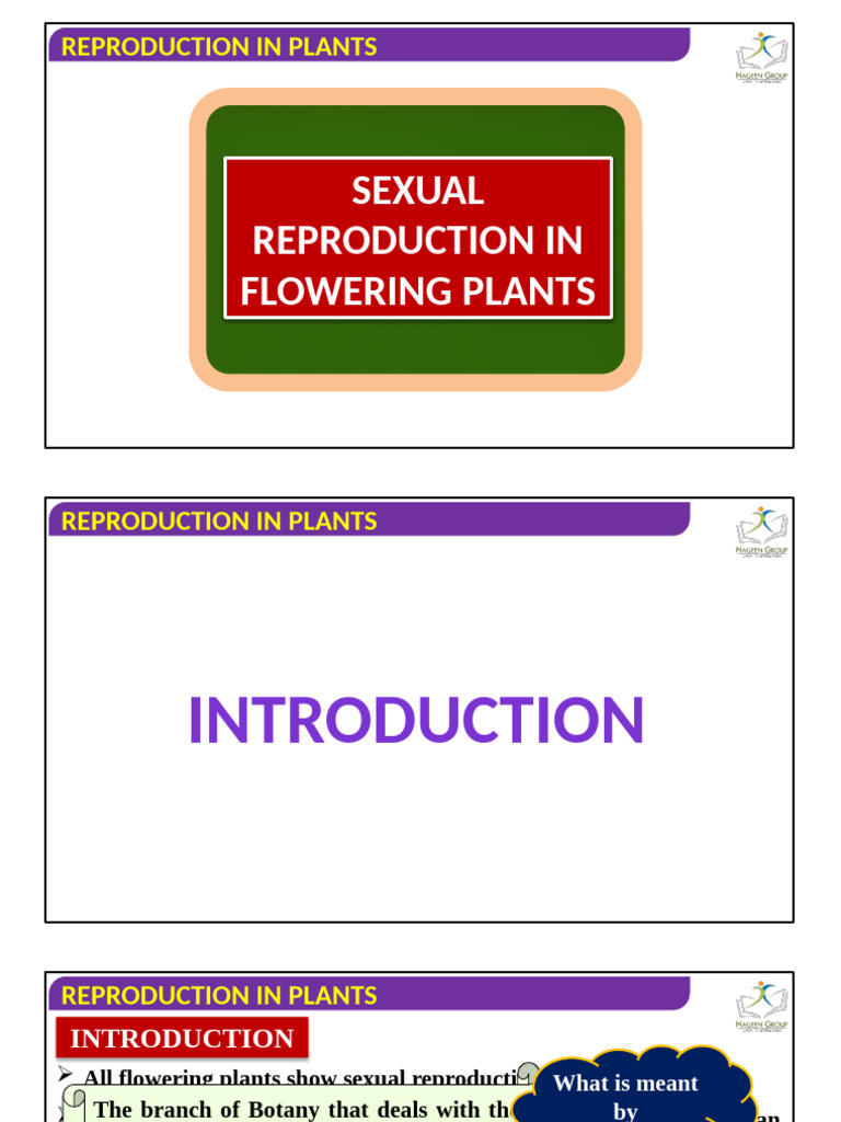 Sexual Reproduction in Flowering Plants | PDF | Pollen | Flowers