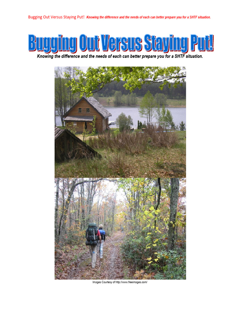 Bugging Out Versus Staying Put! | PDF | Copyright Infringement | Copyright