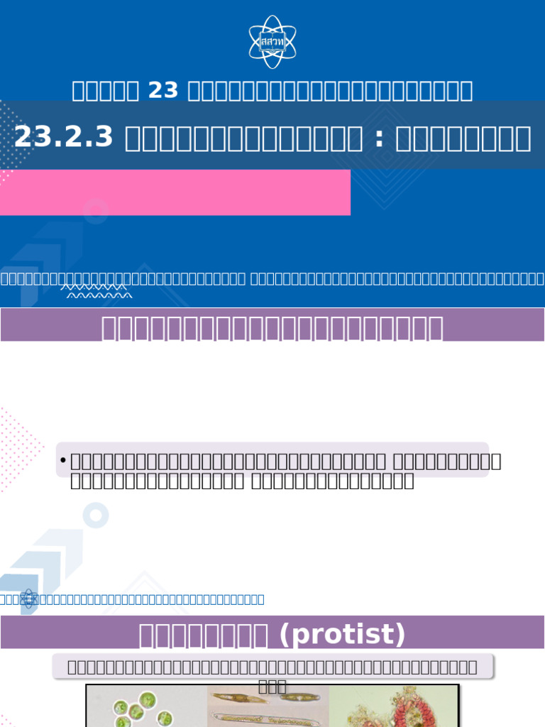 m6b6 23 2organism Diversity 005 | PDF