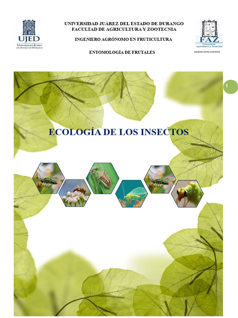 Entomología Ecologia de Los Insectos | PDF | Ecosistema | Ciencia ...