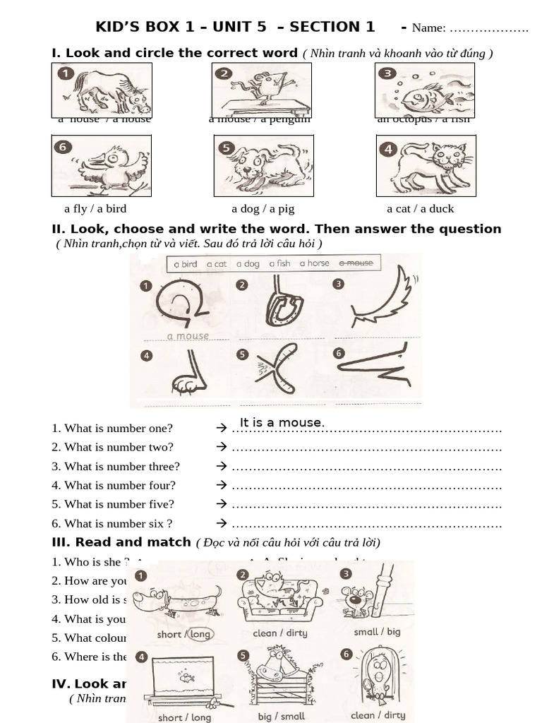 Animals Worksheet for Kids | PDF | Animals And Humans | Zoology