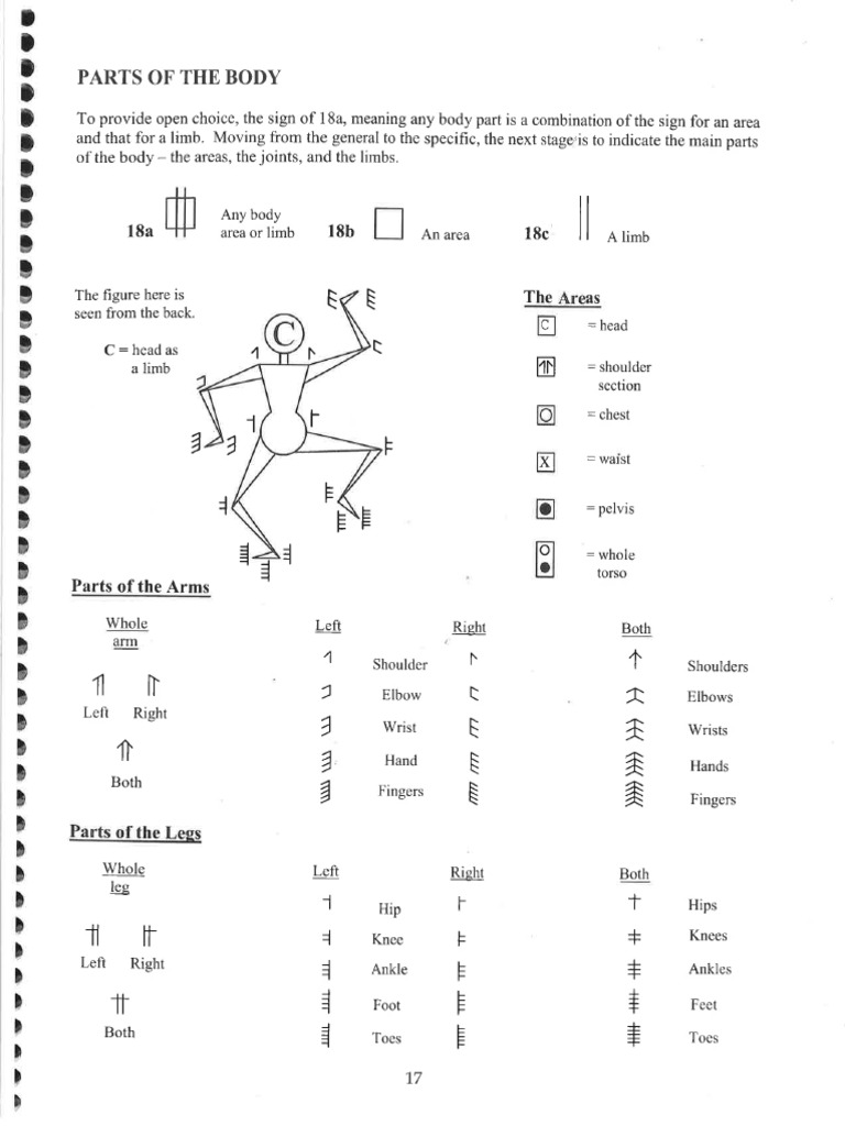 Body Parts | PDF