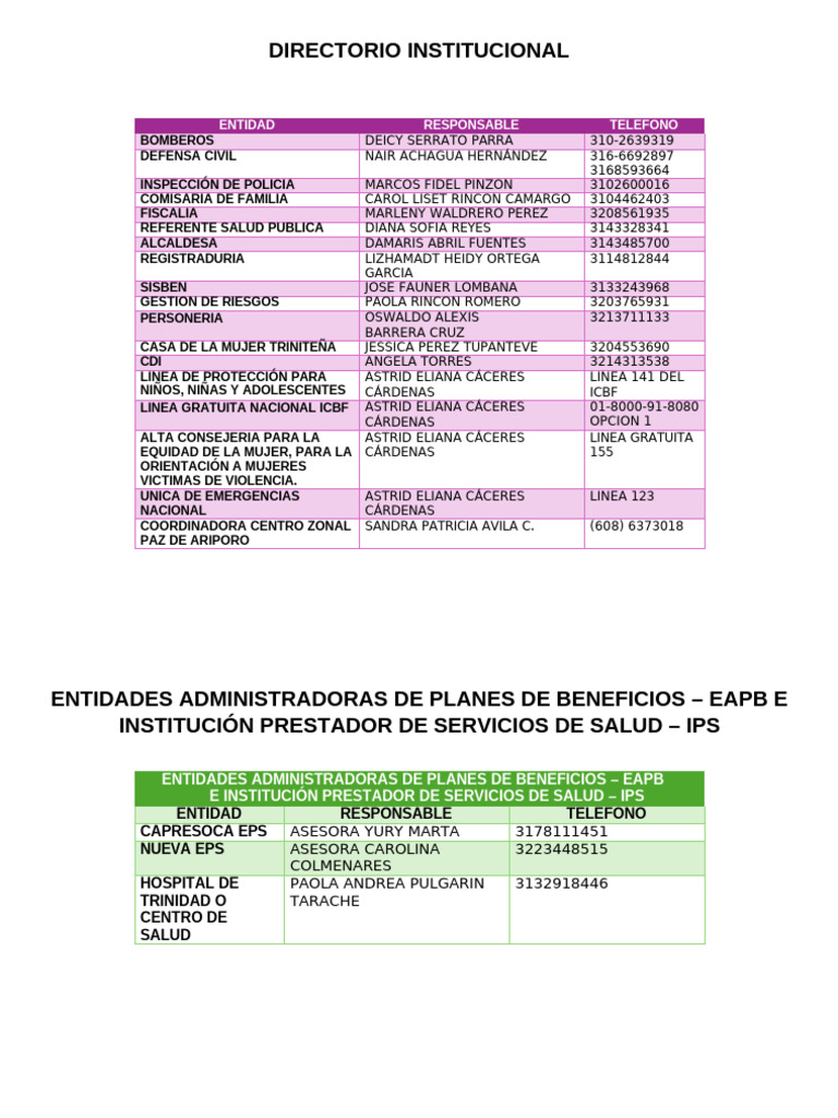 Directorio de Instituciones en Trinidad | PDF | Programas sociales ...