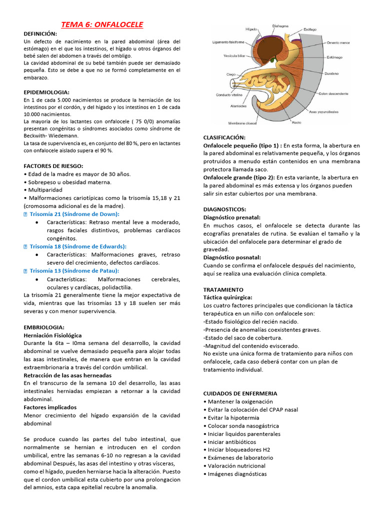 Onfalocele y Gastrocele | PDF | Abdomen | Tracto gastrointestinal