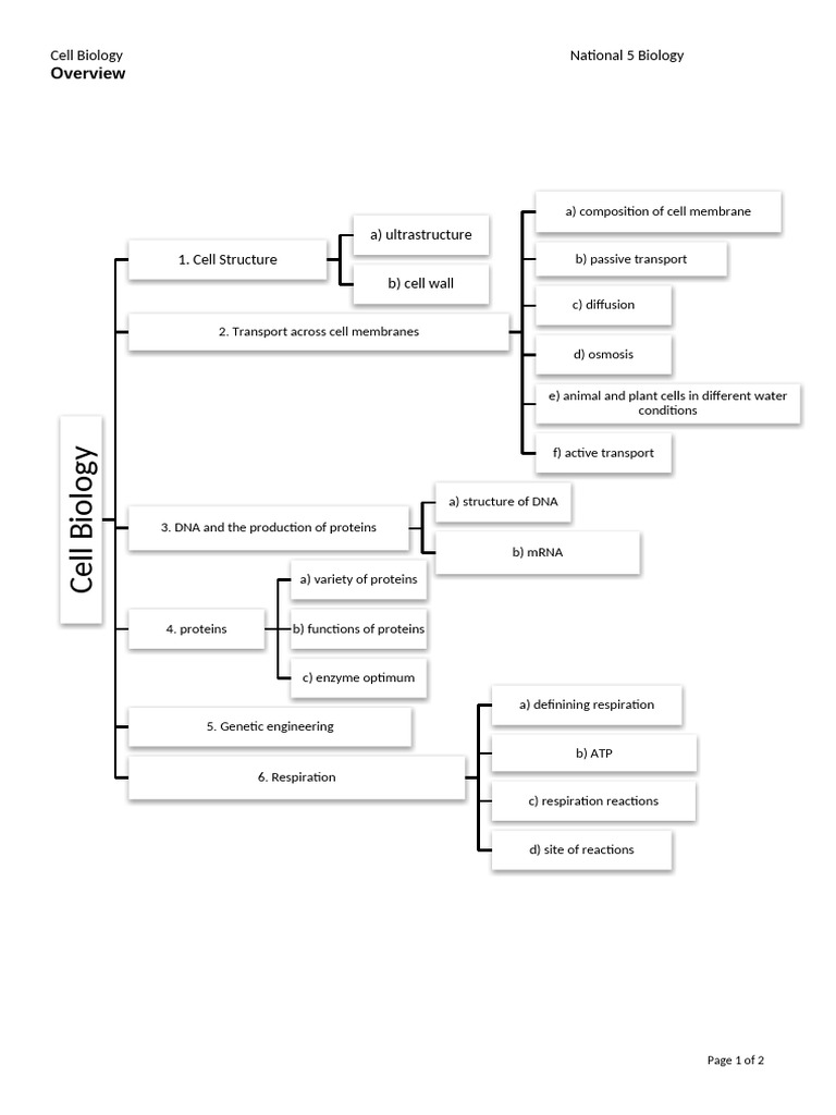 1. Unit 1 Overview and Key Areas | PDF | Cellular Respiration | Cell ...