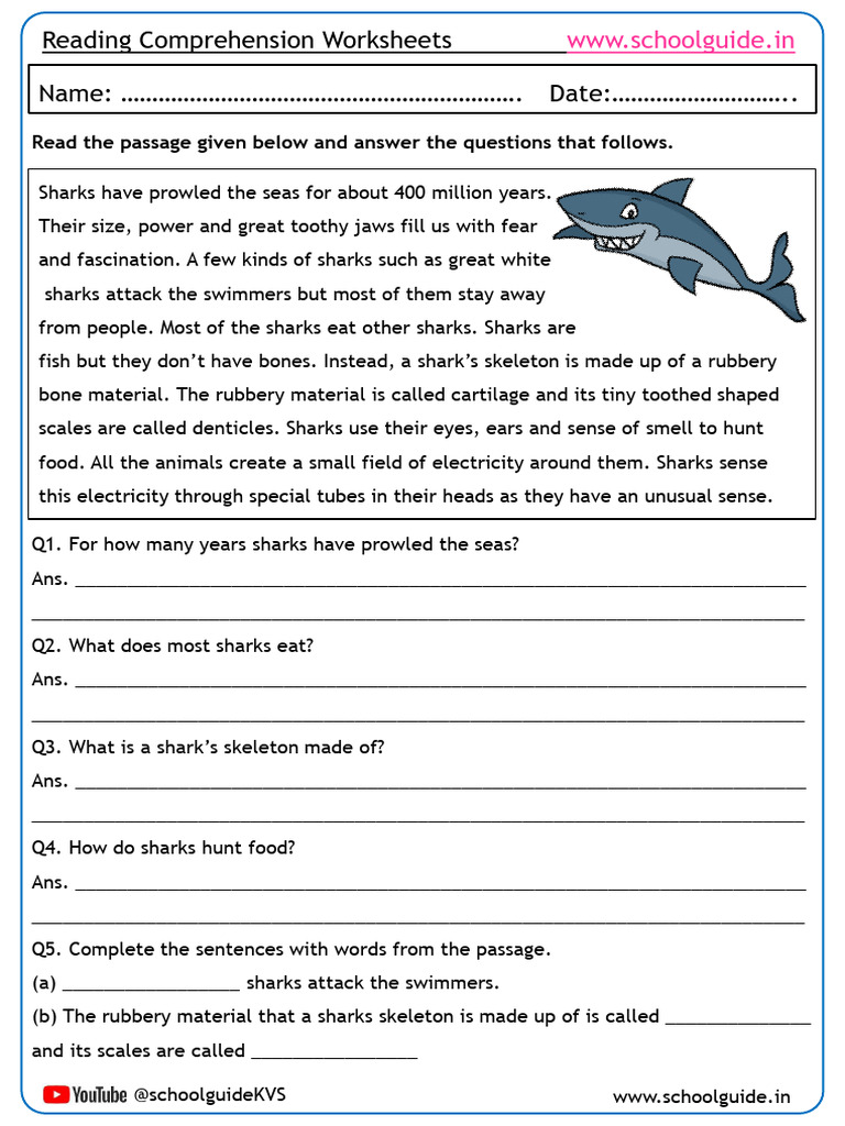 Shark Reading Comprehension Worksheet | PDF | Sharks | Skeleton