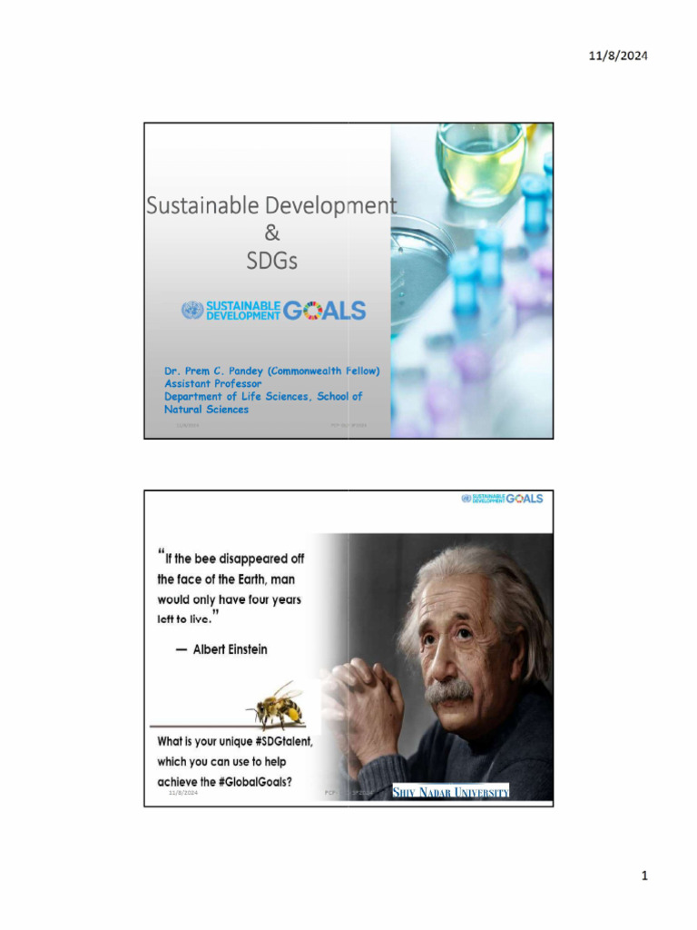 Module 7 SDGs Final | PDF