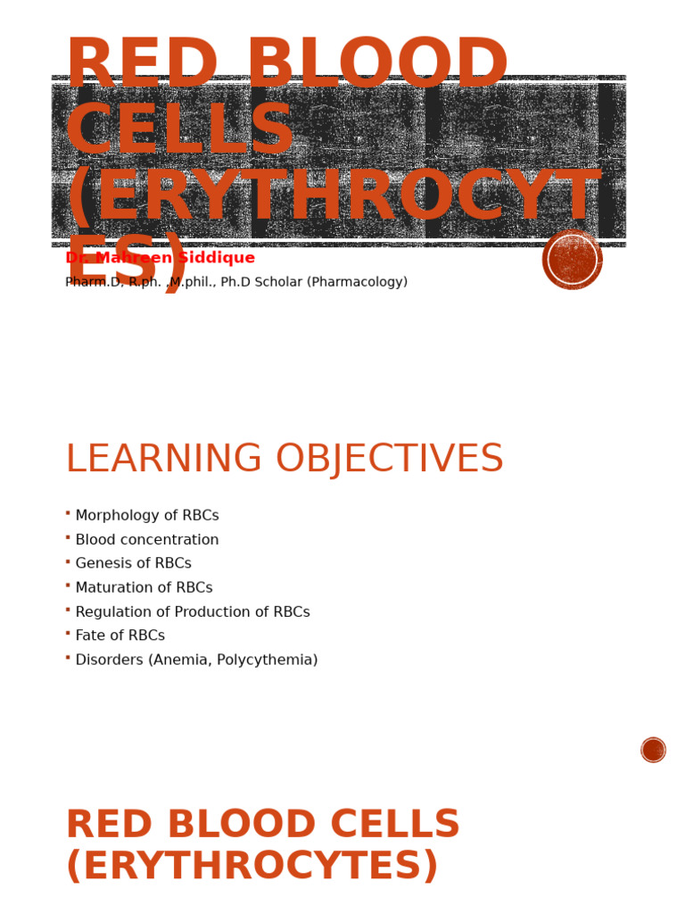 Understanding Red Blood Cells Functions | PDF | Anemia | Red Blood Cell