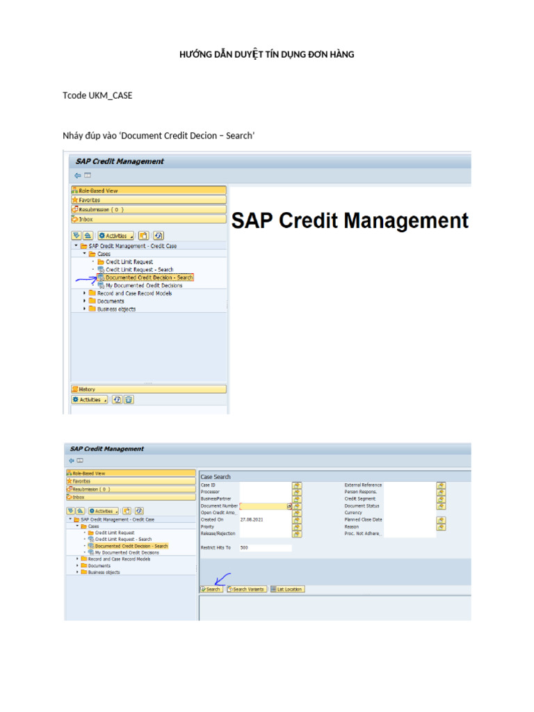 Hướng Dẫn Sử Dụng Tcode UKM - CASE | PDF