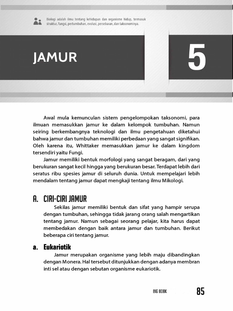 Lengkap - Big Book Biologi Sma - Jamur | PDF