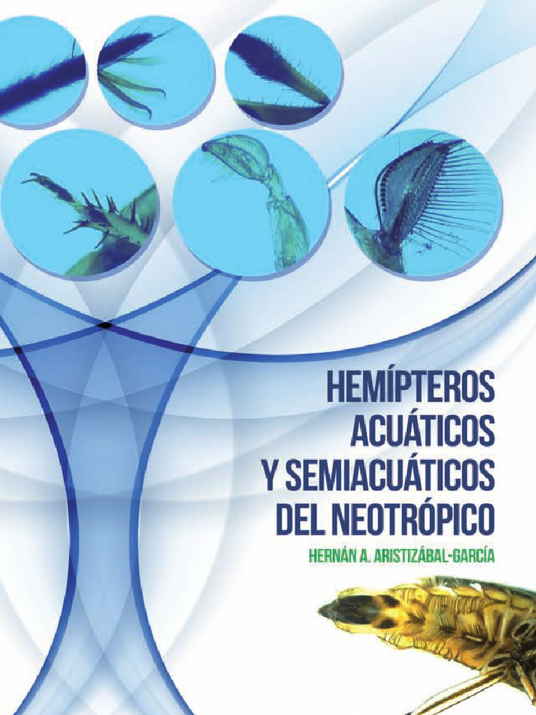 Clave Hemipteros Neotrópico | PDF | Río | Honduras