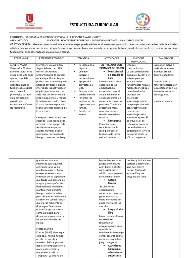 Estructura Curricular | PDF | Vejez | Constructivismo (filosofía de la educación)