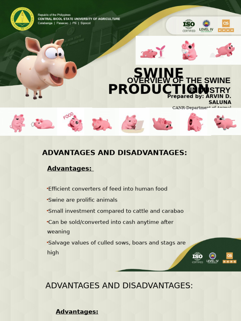 Swine Industry Overview and Production | PDF | Pig | Wild Boar