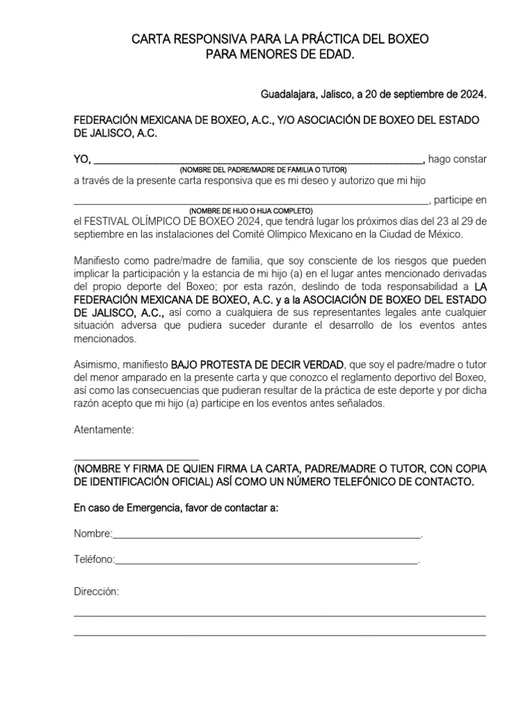 Carta Responsiva para Menores de Edad 2024 | PDF