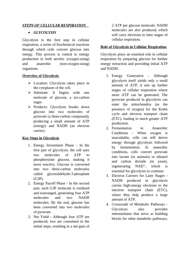 Steps of Cellular Respiration | PDF | Cellular Respiration | Diet & Nutrition