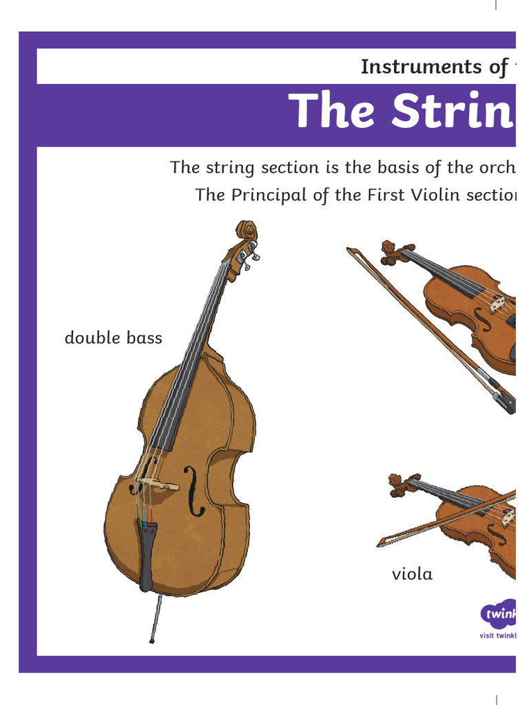 Orchestra Instruments String Family Poster-2XA3 | PDF