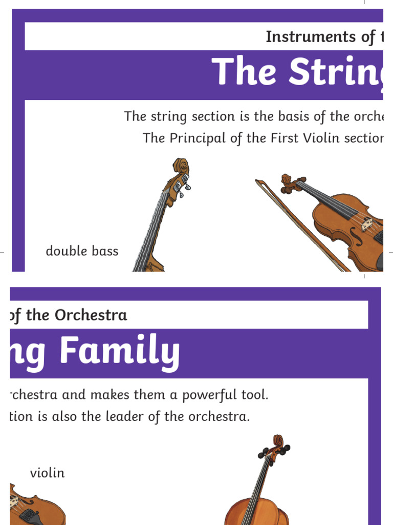 Orchestra Instruments String Family Poster-4XA4 | PDF