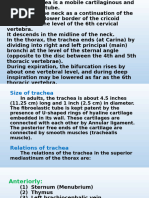 Trachea Position Assessment by Palpation | PDF