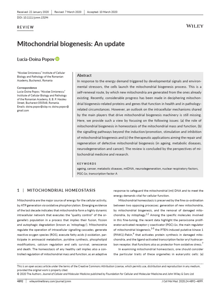 Biogénesis Mitocondrial | PDF | Mitochondrion | Mitochondrial Dna