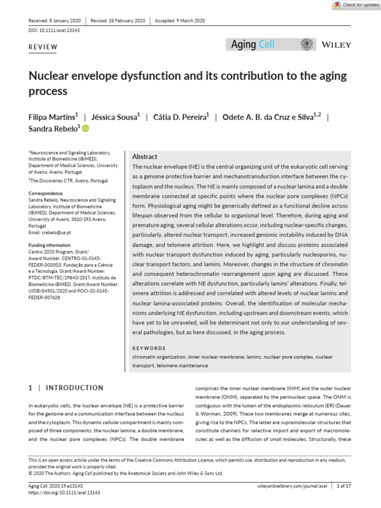 Aging Cell - 2020 - Martins - Nuclear Envelope Dysfunction and Its Contribution To The Aging ...