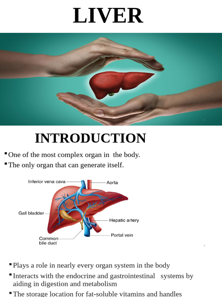 Artificial Liver Slides | PDF | Liver | Hemodialysis