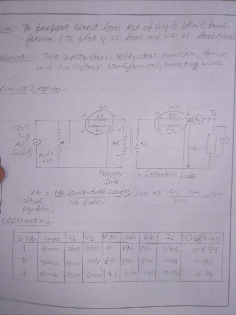BEE experiment | PDF