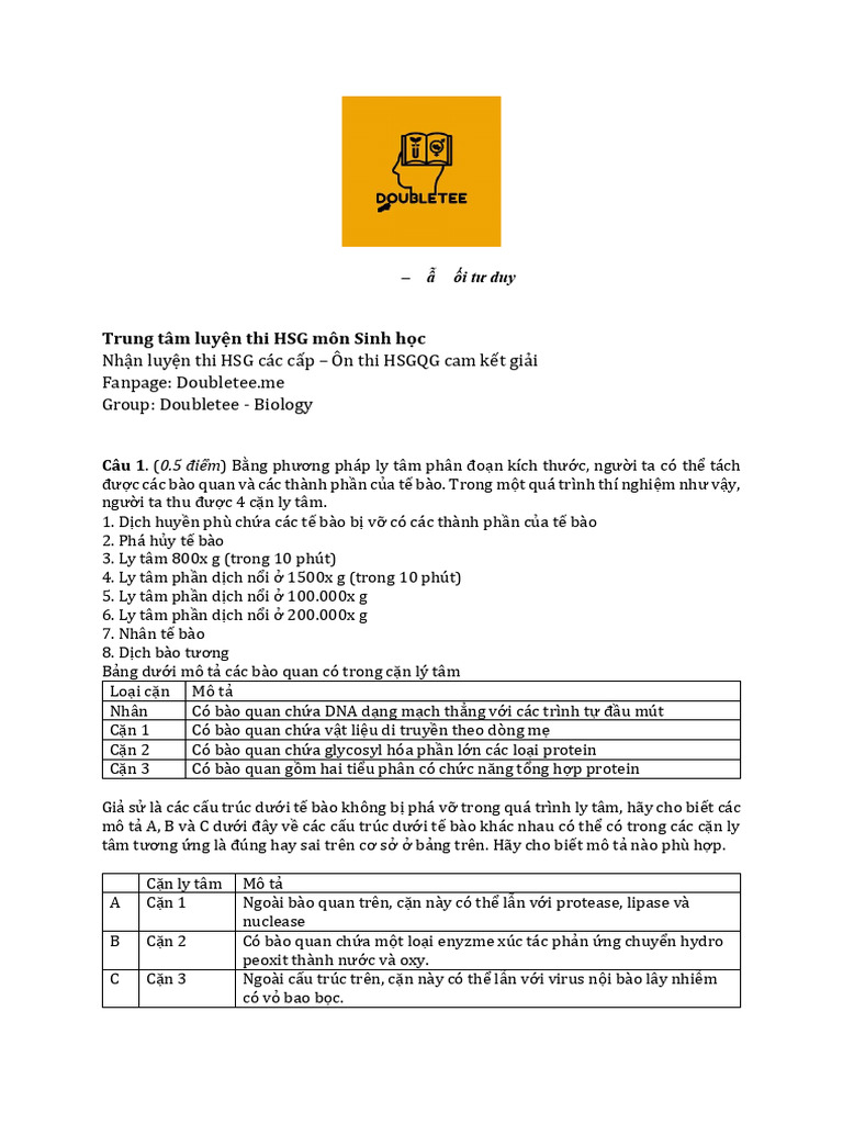 Bài Test - Hà Giang | PDF