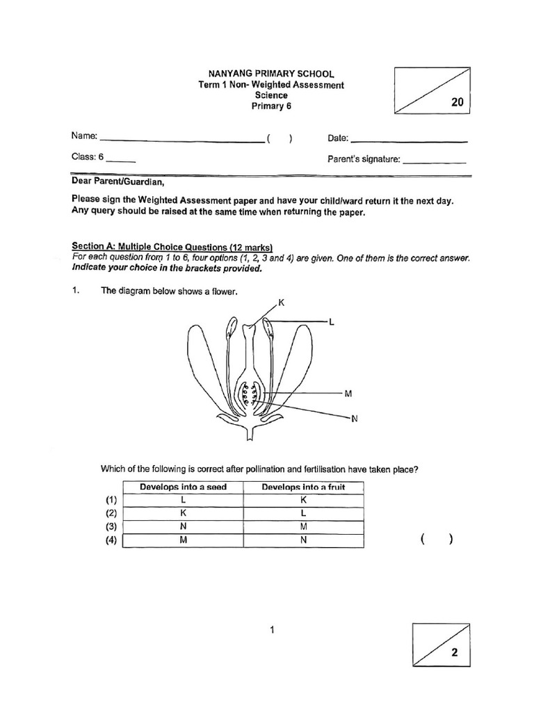 2024 P6 Science Non Weighted Assessment 1 Nanyang | PDF