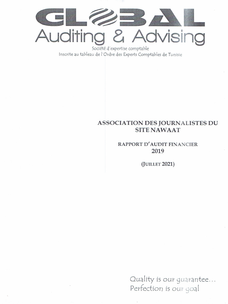 Rapport Audit Nawaat 2019 | PDF