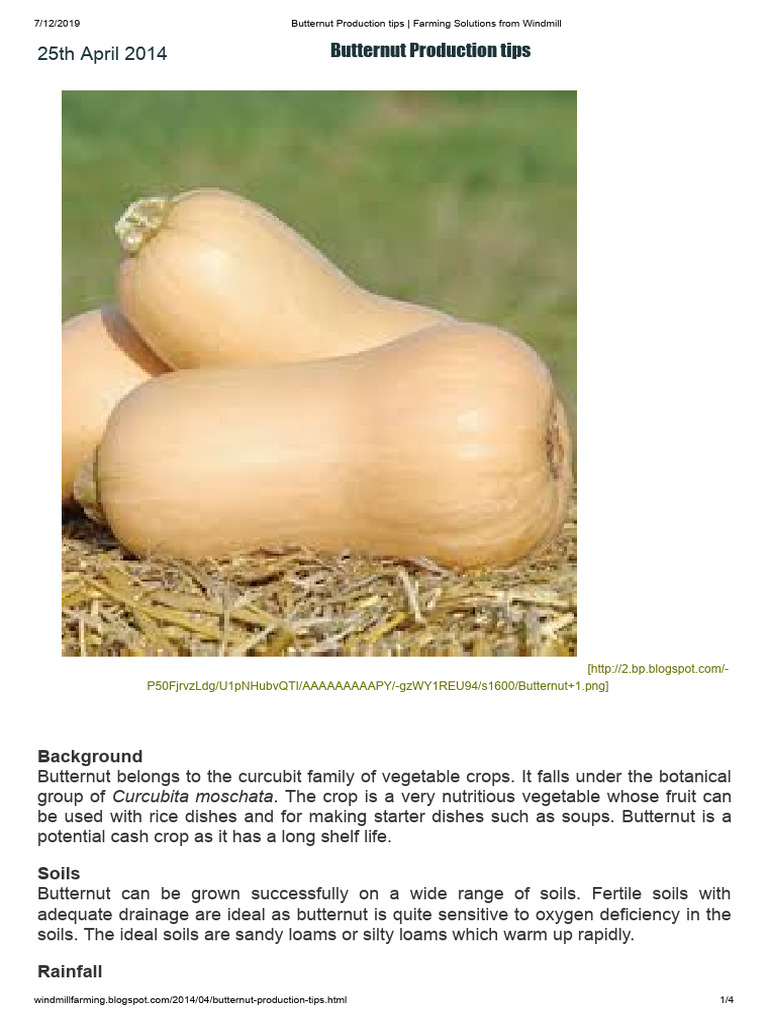 Butternut Farming Production Guide | PDF | Soil | Vegetables