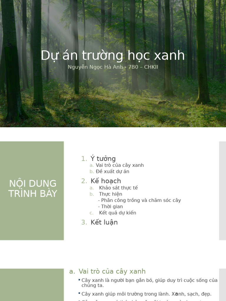 Nguyen Ngoc Ha Anh - 7B0-4 | PDF