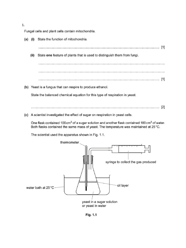Biology Practice Test 1. Paper 4. | PDF