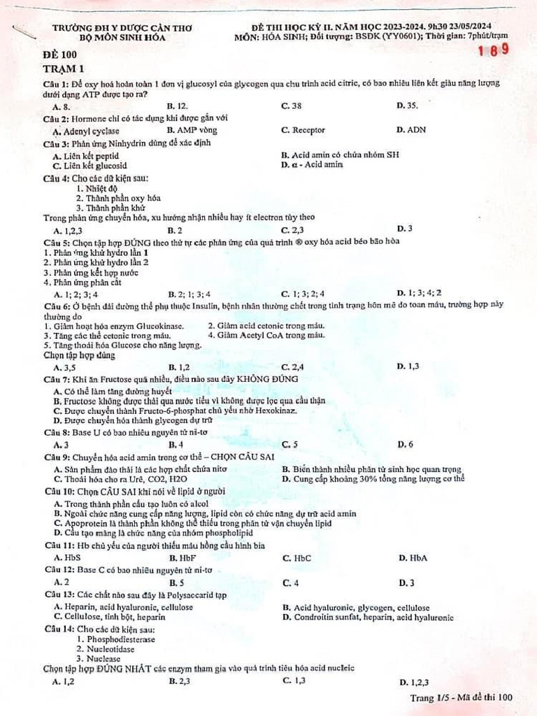 Y-K48-Sáng L2 | PDF