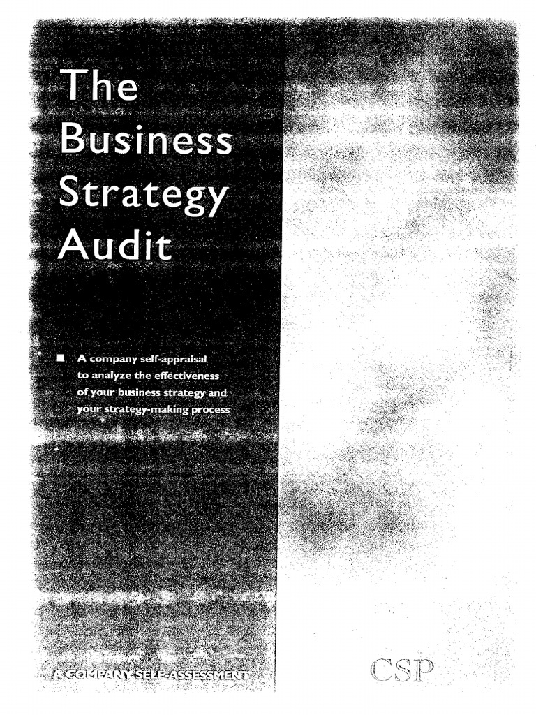 Audit - The Business Strategy Audit | PDF