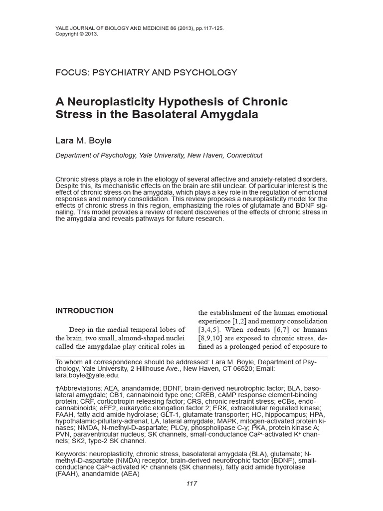 Lara Boyle Neuroplasticité Stress Chronique | PDF | Nmda Receptor ...